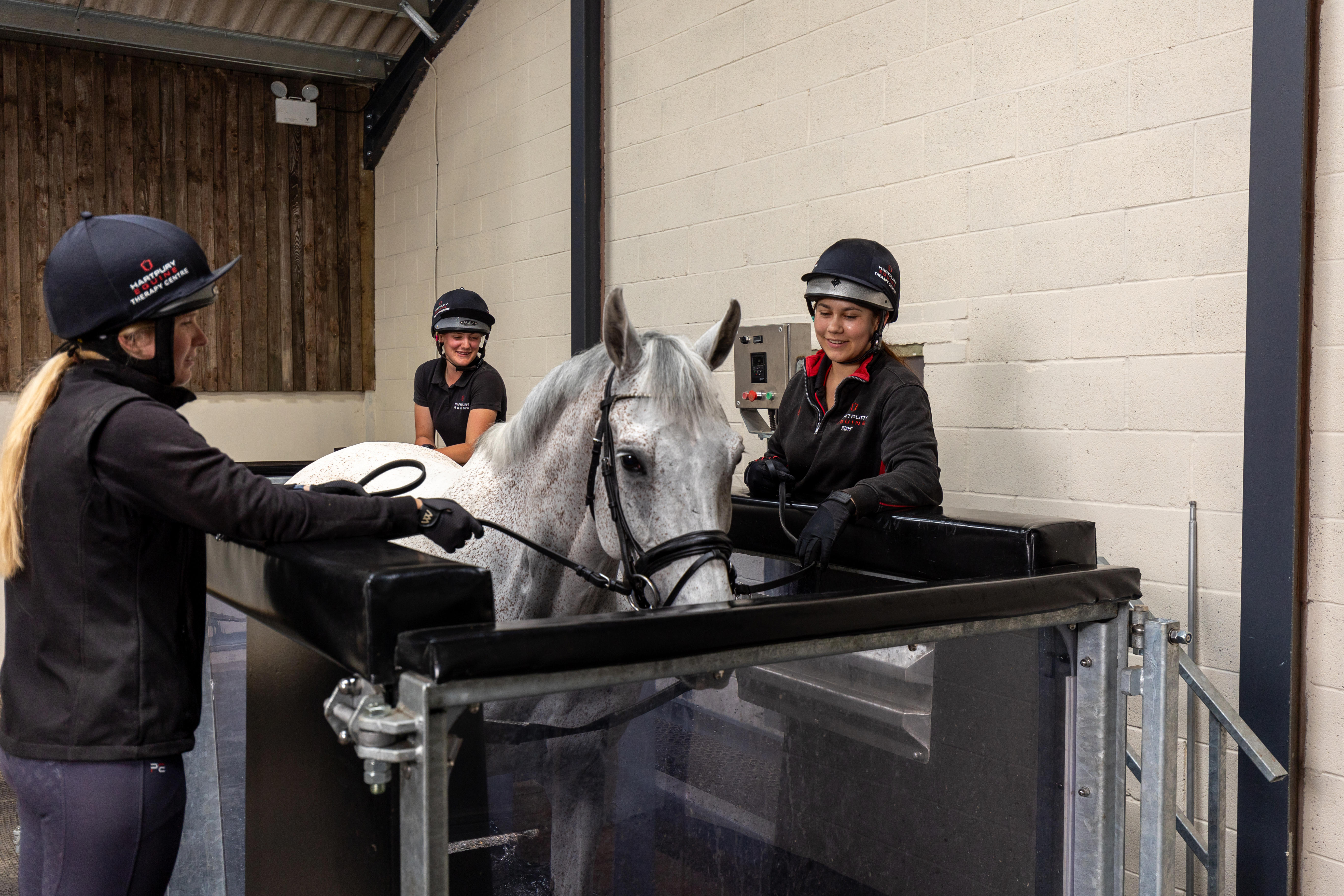 Equine | Hartpury College