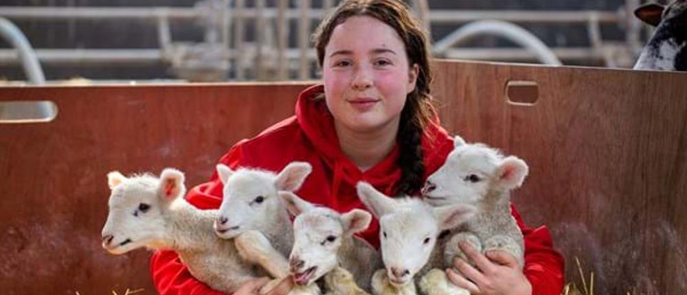 One-in-a-million quintuplet lambs born at Hartpury